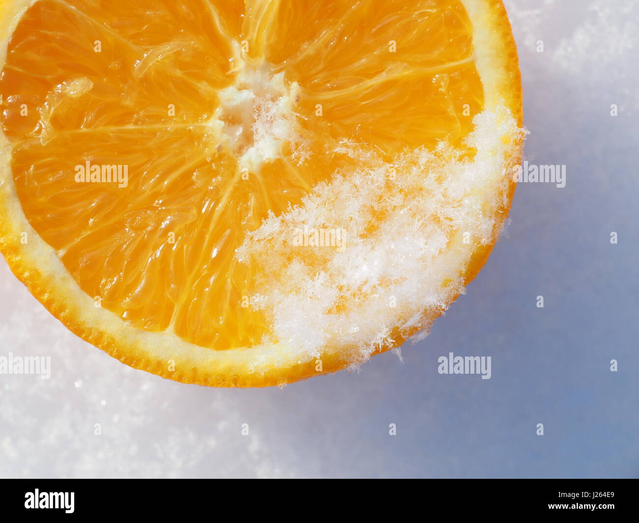 Orange in the snow Stock Photo - Alamy