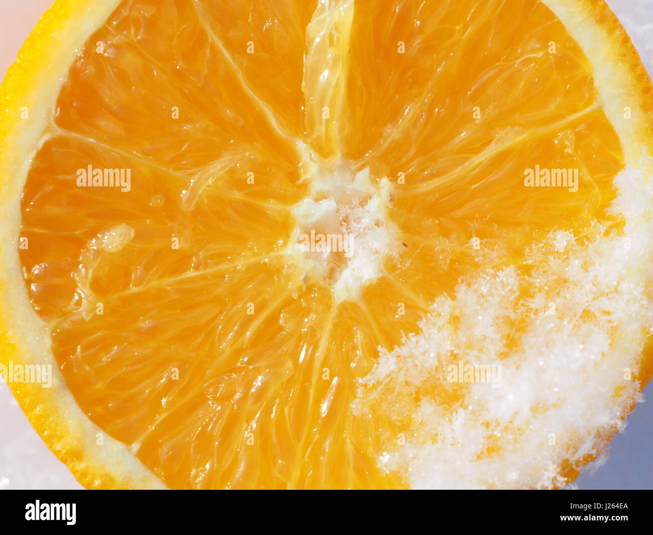 Orange in the snow Stock Photo - Alamy