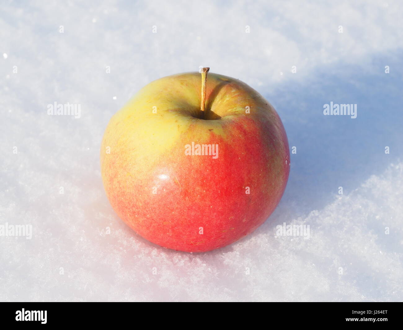 apple on snow Stock Photo - Alamy
