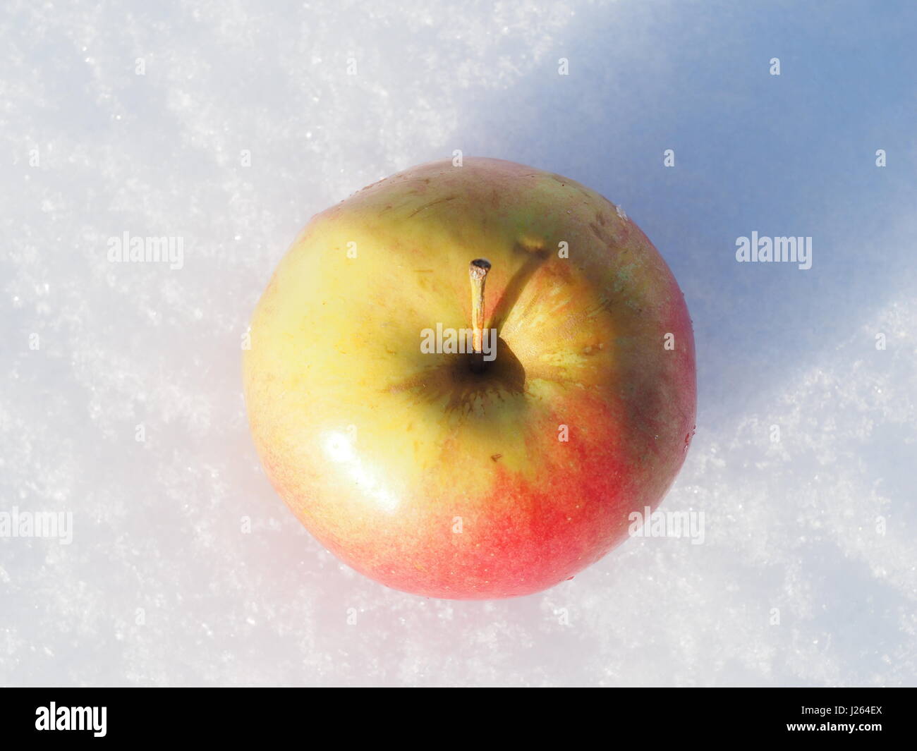 apple on snow Stock Photo - Alamy