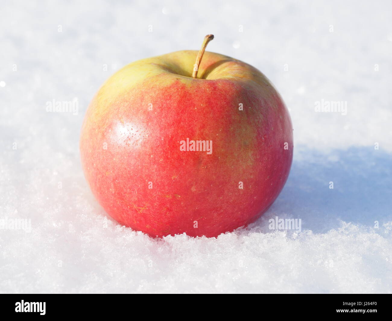 apple on snow Stock Photo - Alamy