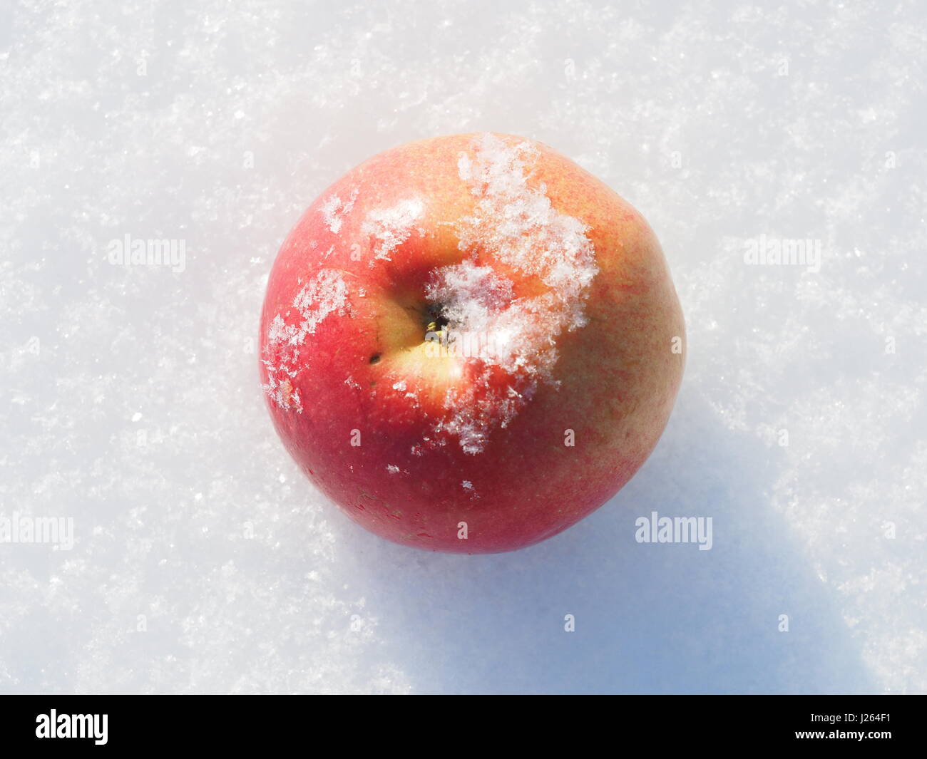 apple on snow Stock Photo - Alamy