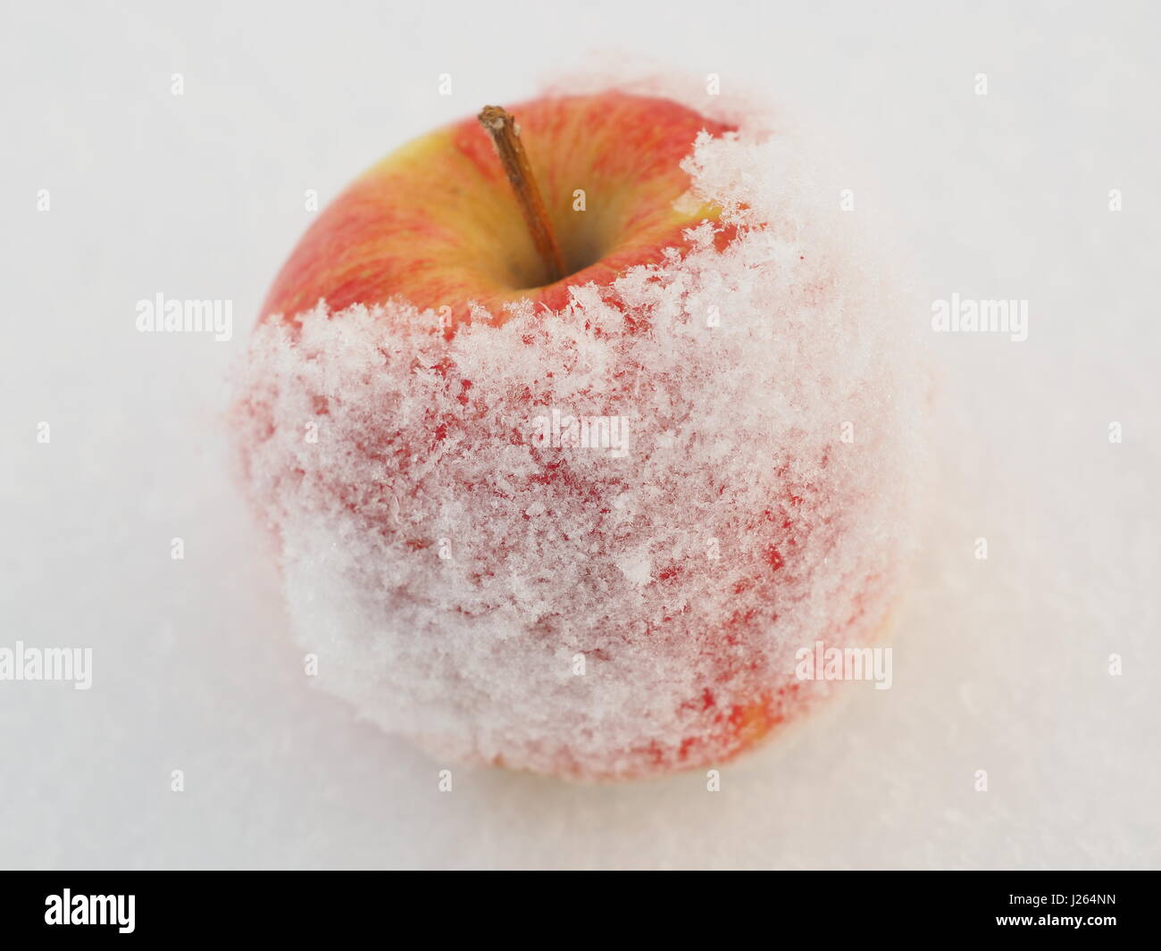 apple on snow Stock Photo - Alamy