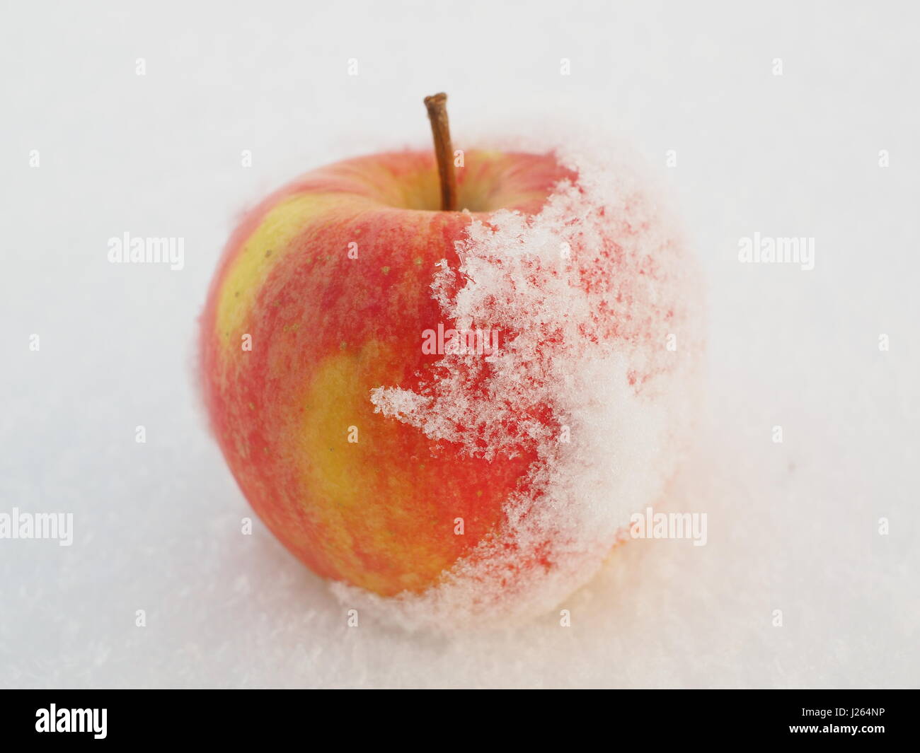 apple on snow Stock Photo - Alamy