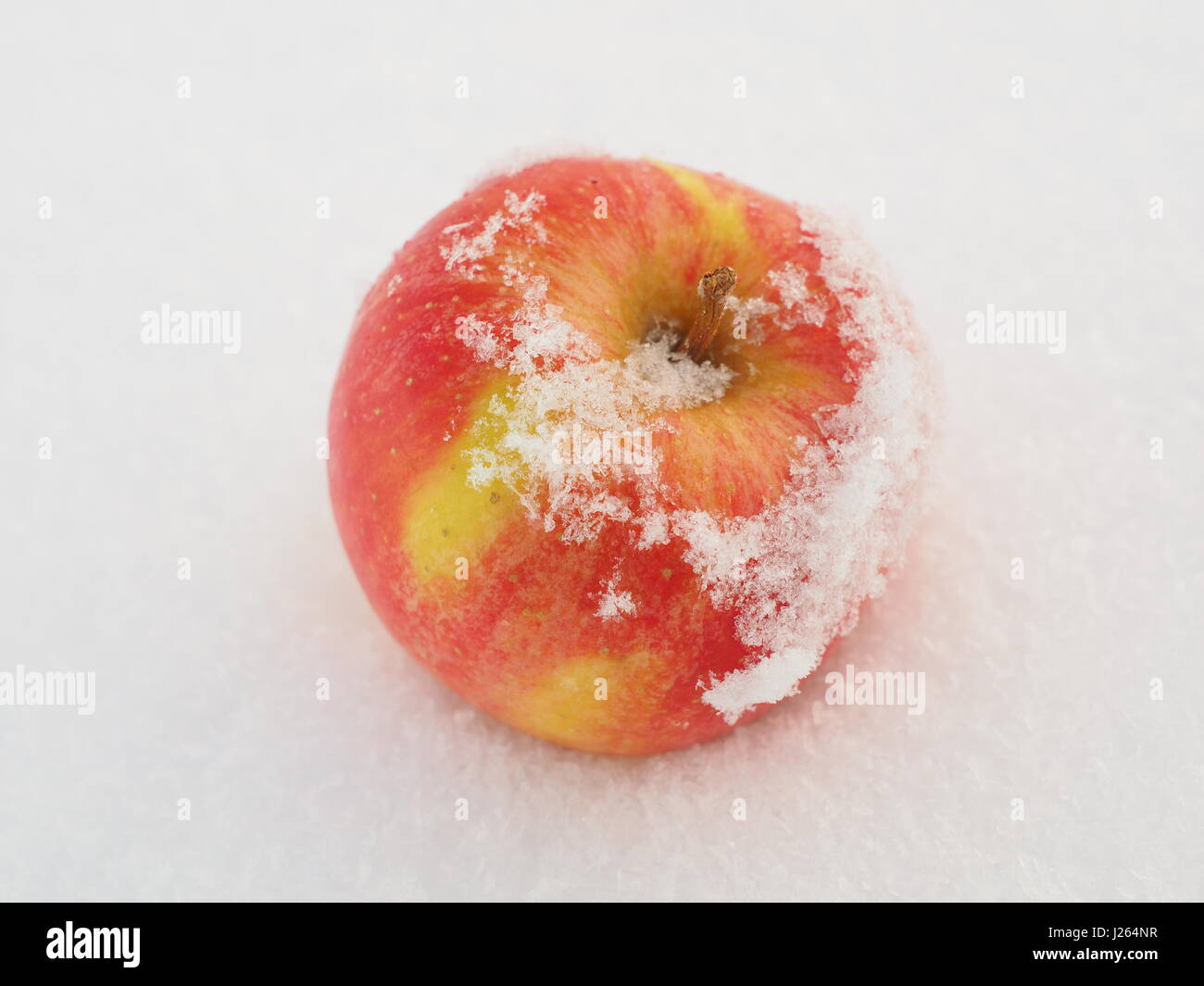 apple on snow Stock Photo - Alamy