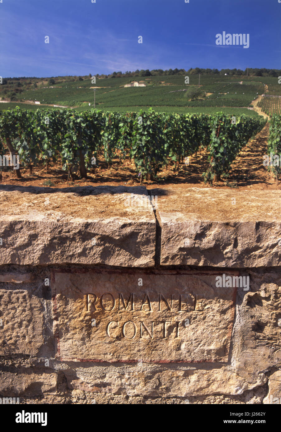Romanee conti hi-res stock photography and images - Alamy