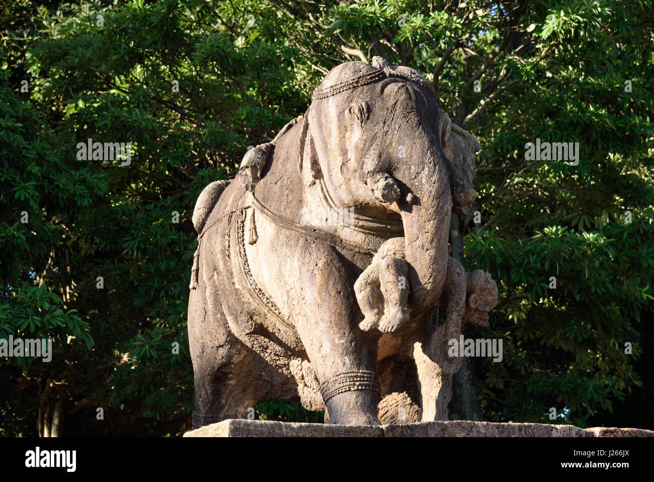 Konark Sun Temple, Puri, Orissa, India Stock Photo - Alamy