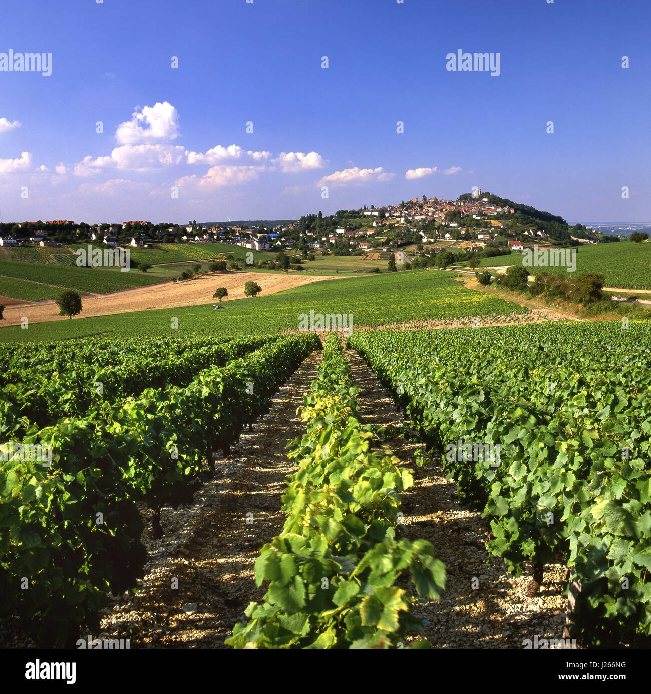 Domaine lucien crochet hi-res stock photography and images - Alamy