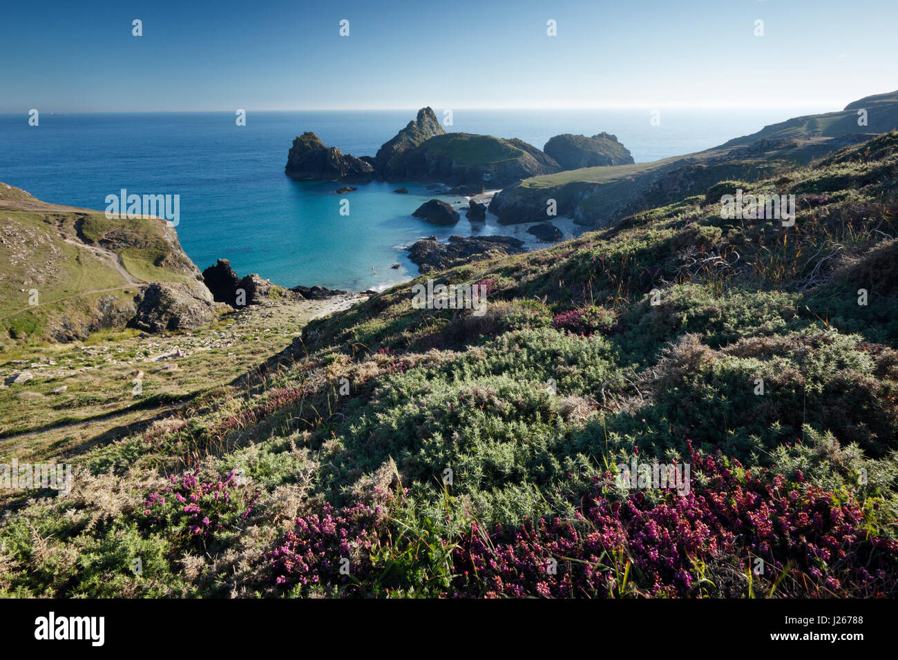 Kynance Cove. Lizard Peninsula. Cornwall. UK Stock Photo - Alamy
