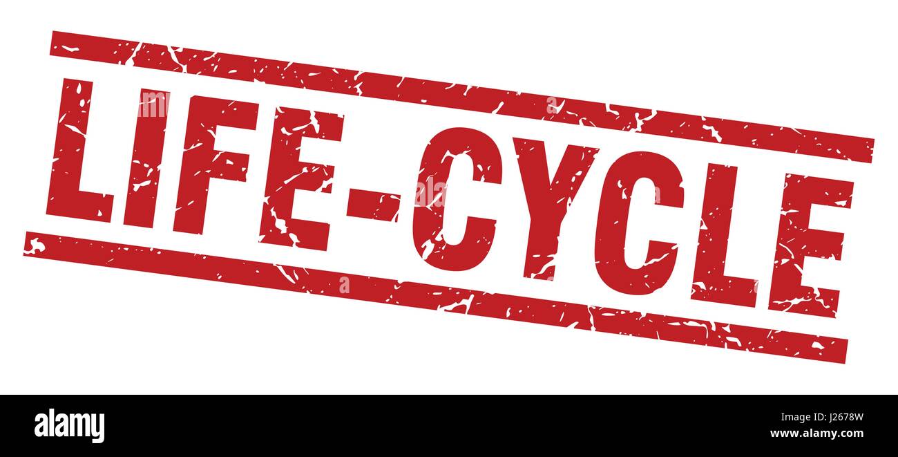 square grunge red life-cycle stamp Stock Vector Image & Art - Alamy