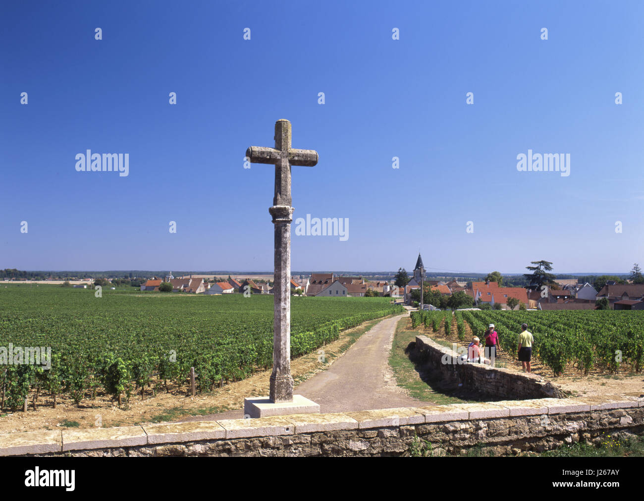 Romanée-Conti vineyard & stone cross, with tourists having a picnic ...