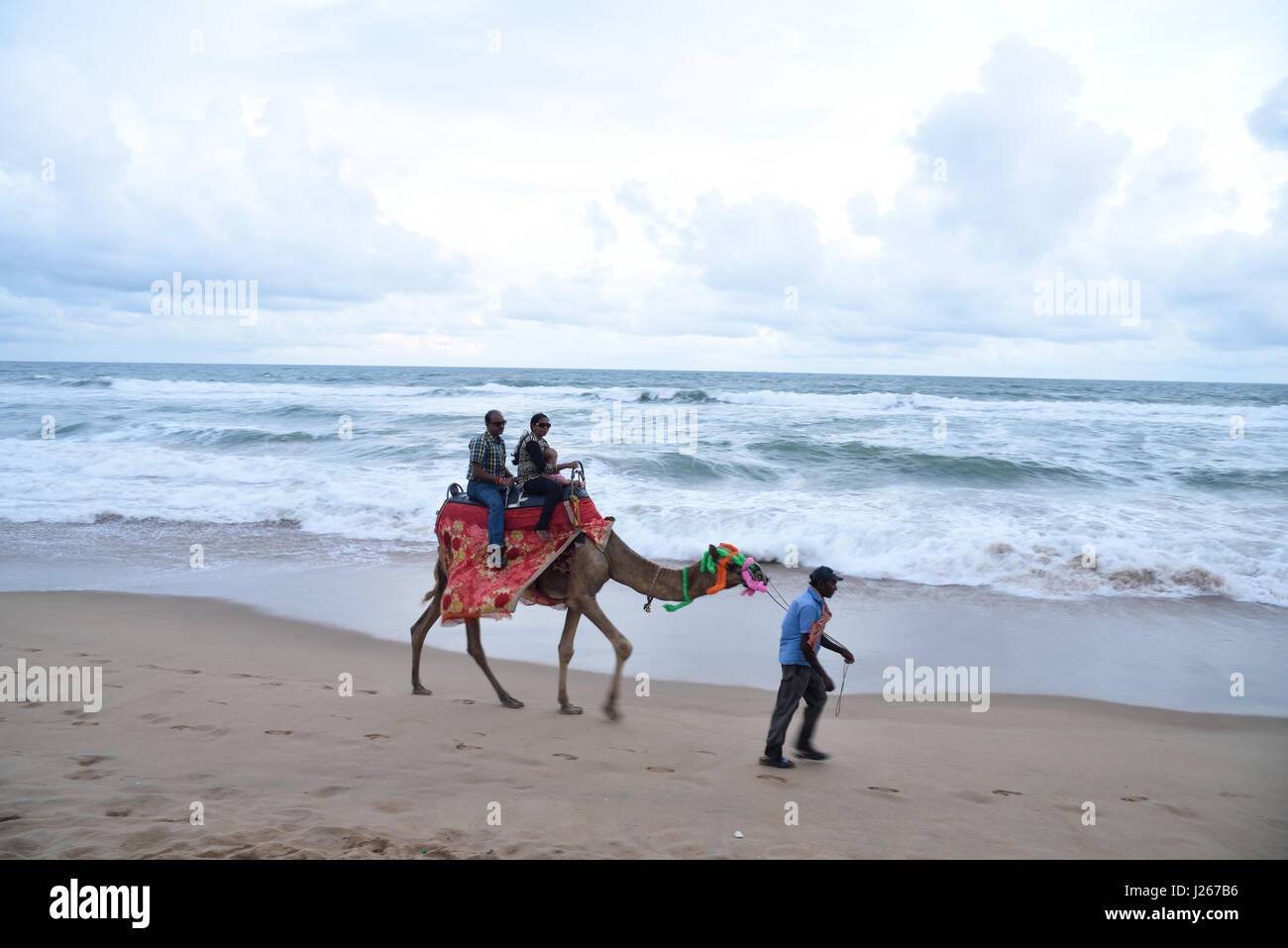 Camel ride at sea beach of puri hi-res stock photography and images - Alamy