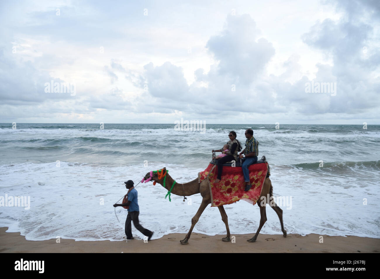 Camel ride at sea beach of puri hi-res stock photography and images - Alamy