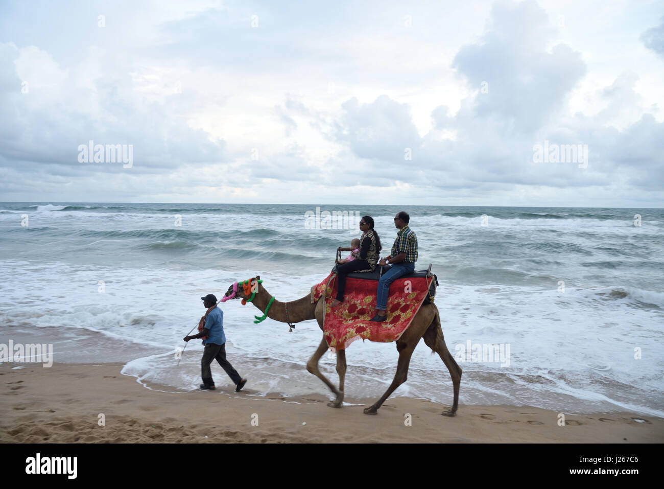 Camel ride at sea beach of puri hi-res stock photography and images - Alamy