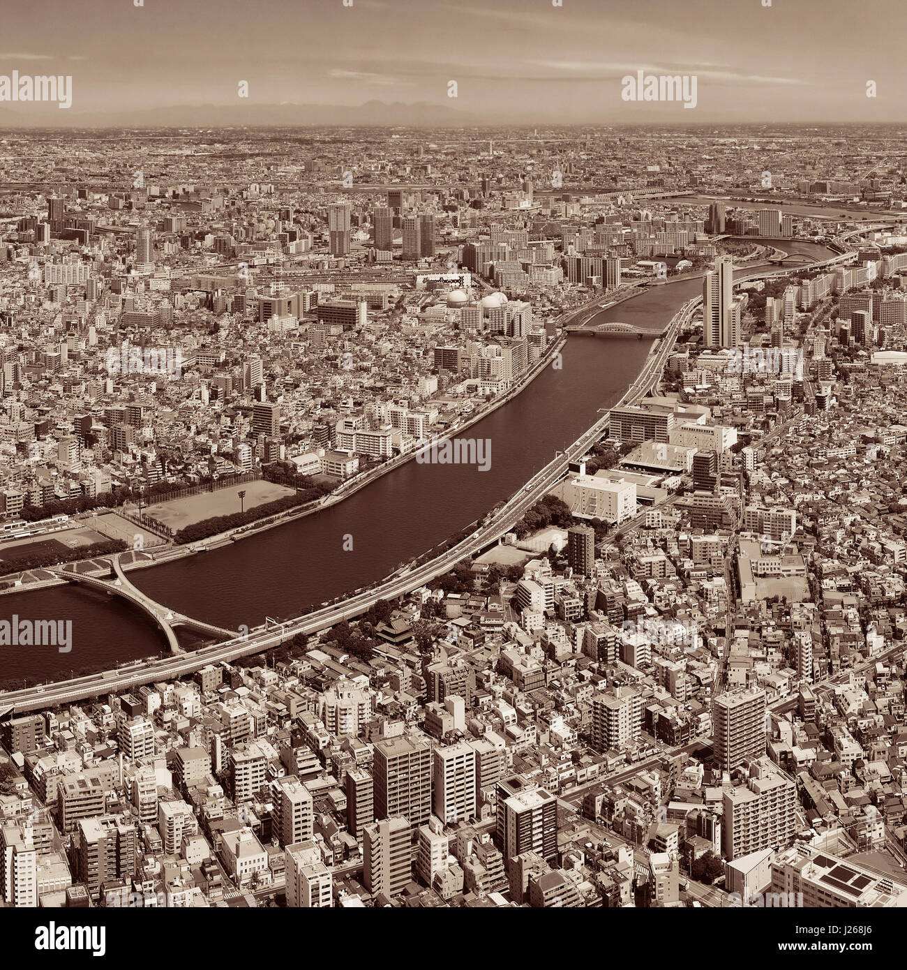 Tokyo urban skyline rooftop view with river, Japan Stock Photo - Alamy