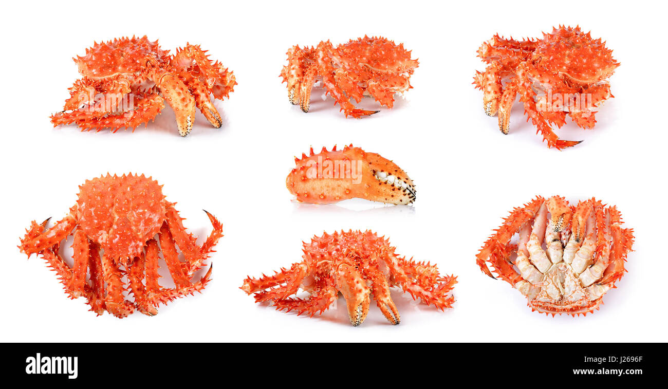 Alaskan king crab in isolated white background Stock Photo - Alamy