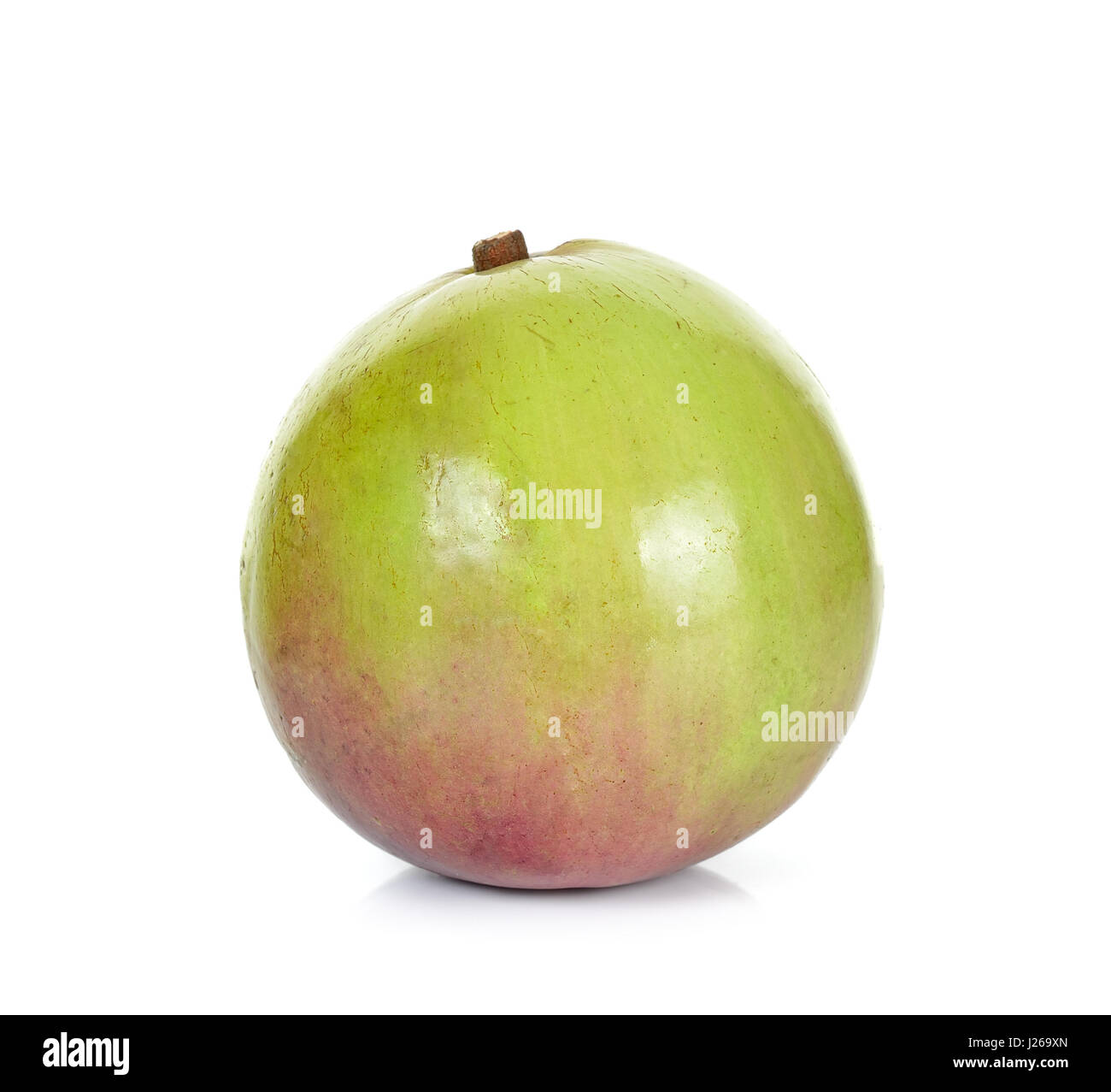 Star apple isolated on the white background Stock Photo - Alamy