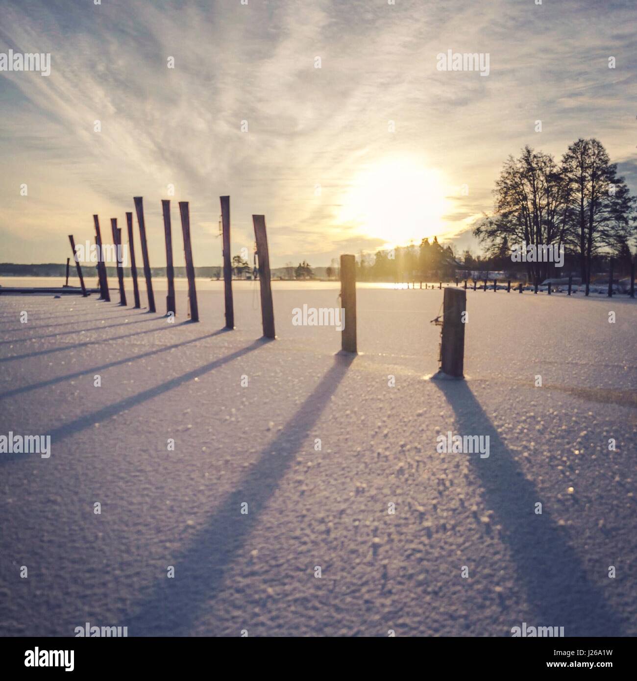 Snow covered field, Sweden Stock Photo - Alamy