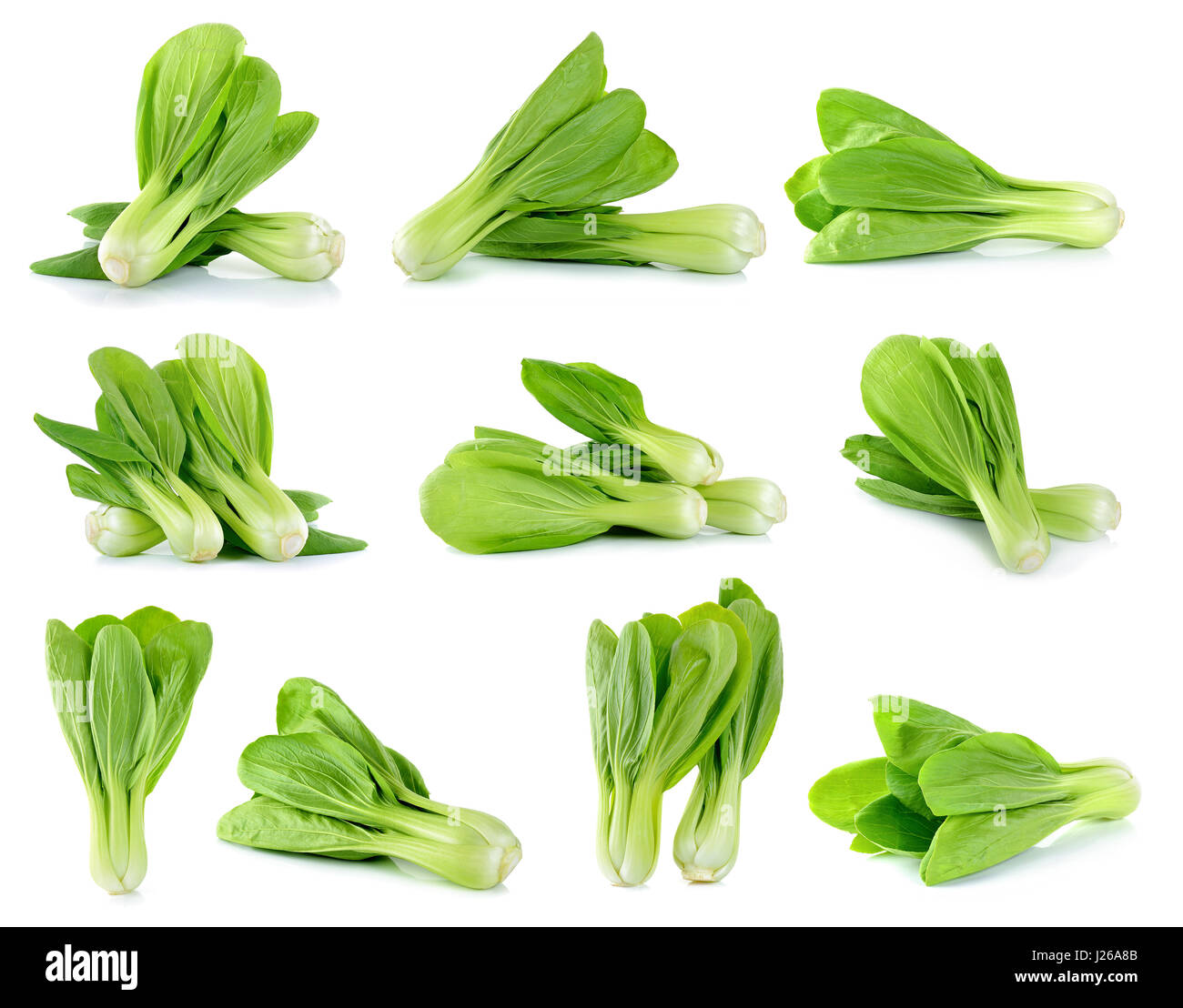 Chinese vegetable choy sum hi-res stock photography and images - Alamy