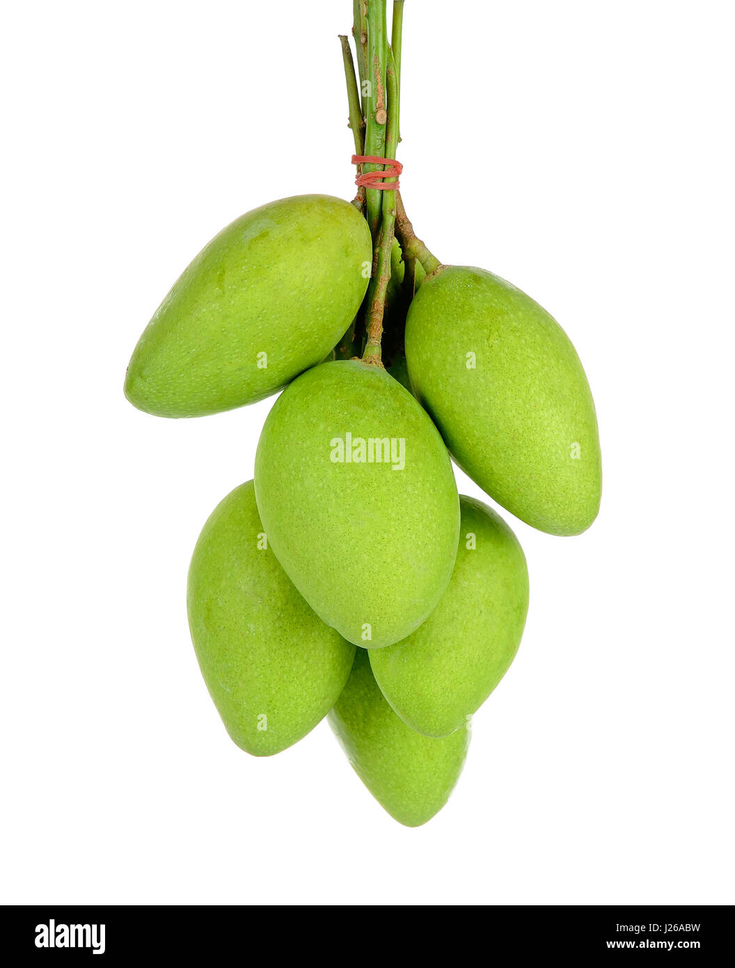 green mango isolated on a white background Stock Photo - Alamy