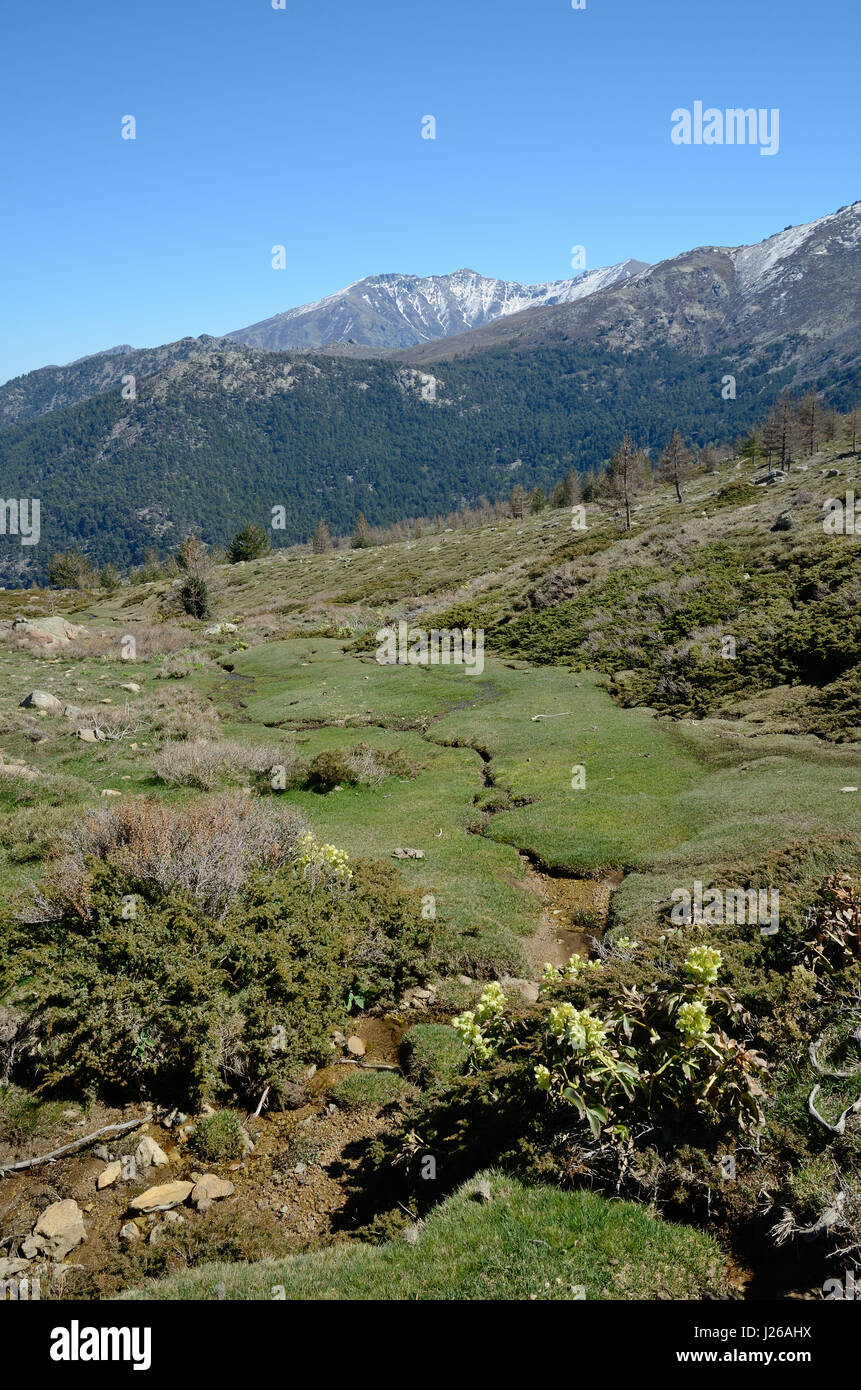 Slope crest hi-res stock photography and images - Alamy