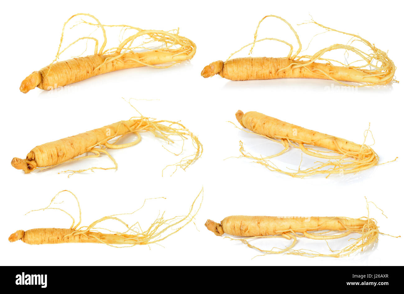 Set of Ginseng isolated on the white background Stock Photo - Alamy