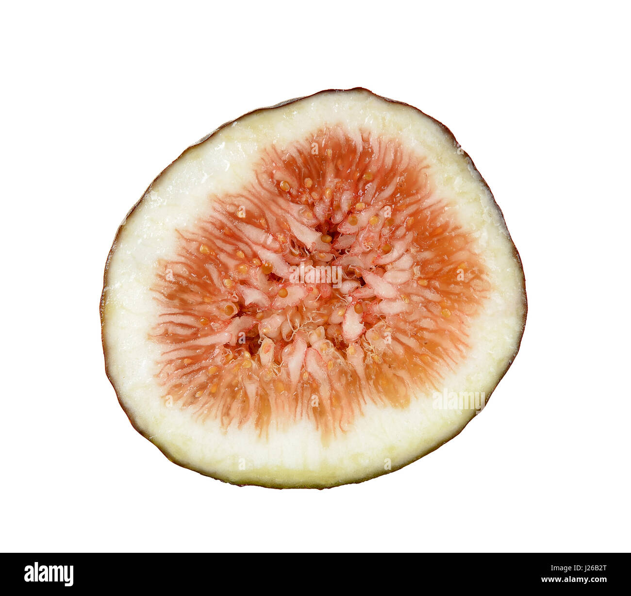 Half Sliced fig isolated on the white background Stock Photo - Alamy