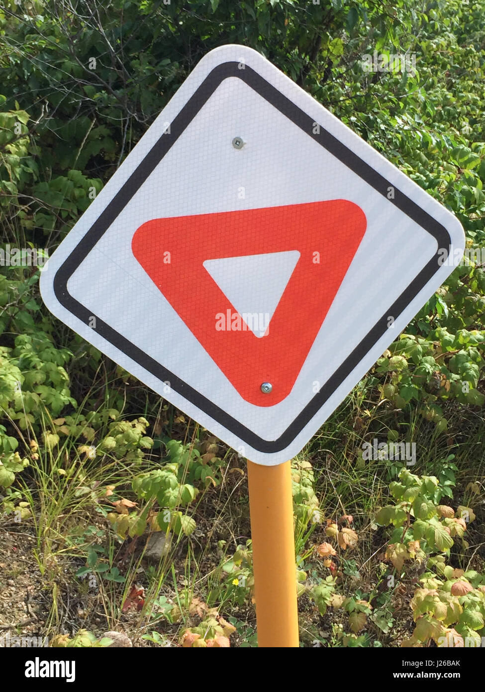 Yield To Pedestrian High Resolution Stock Photography and Images - Alamy