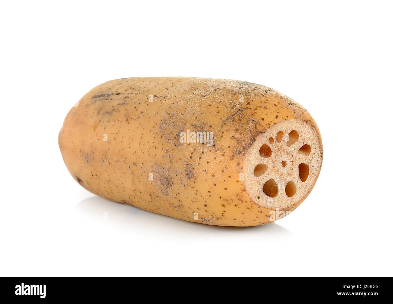 Lotus root isolated on the white background Stock Photo - Alamy