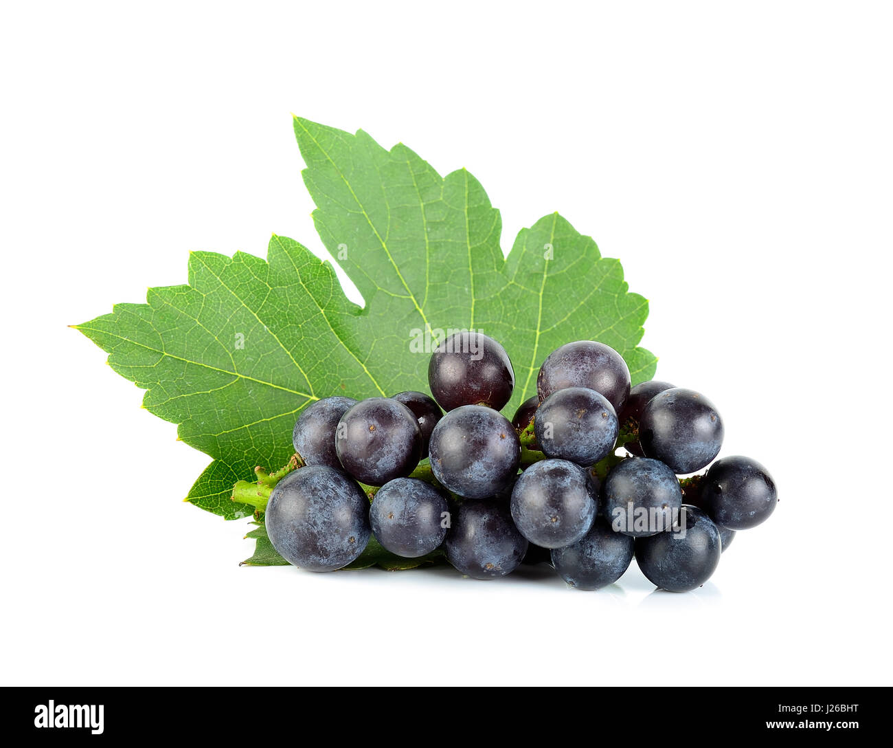 Grape with leaf isolated on the white background Stock Photo - Alamy