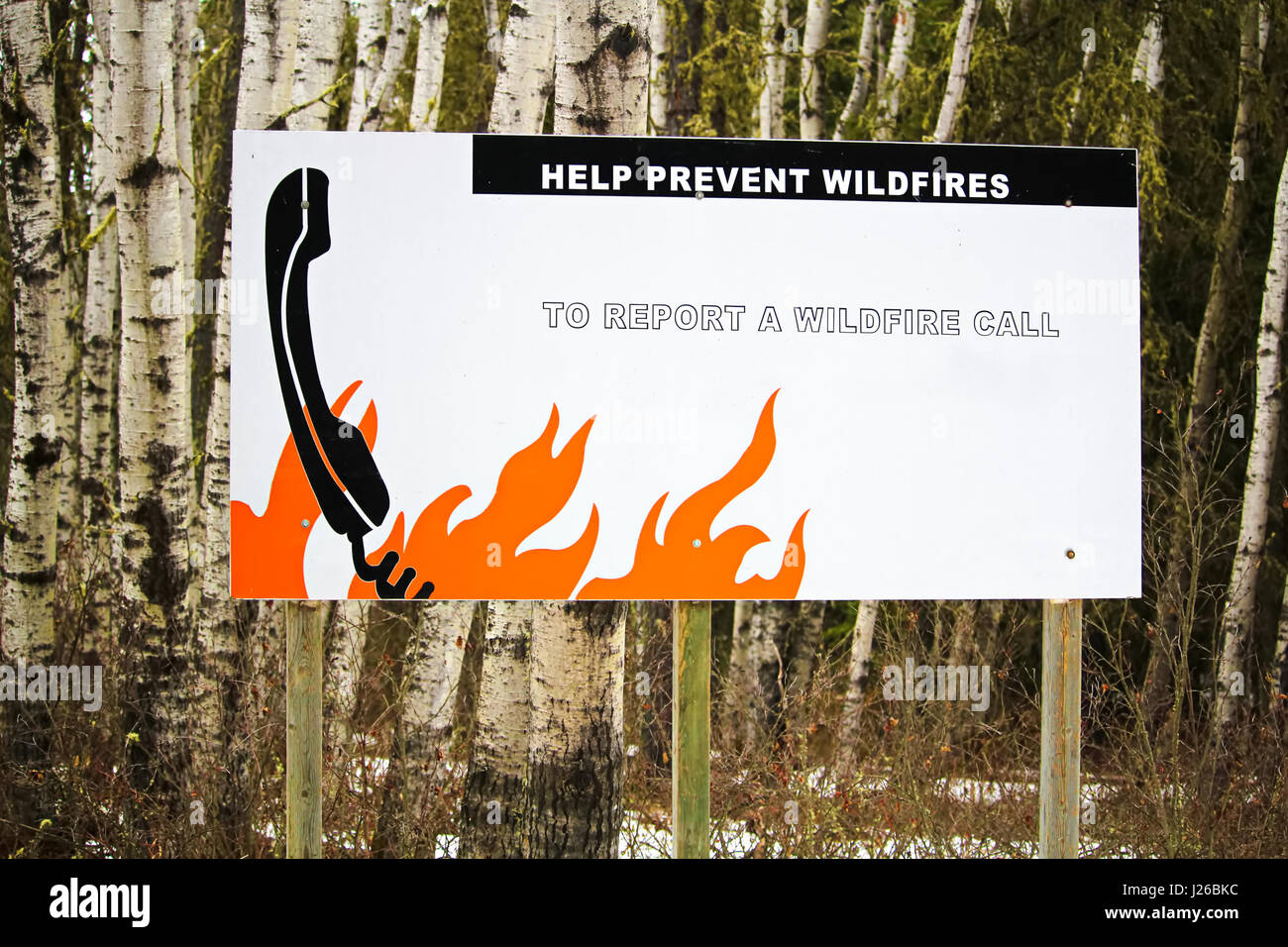 Prevent forest fire hi-res stock photography and images - Alamy