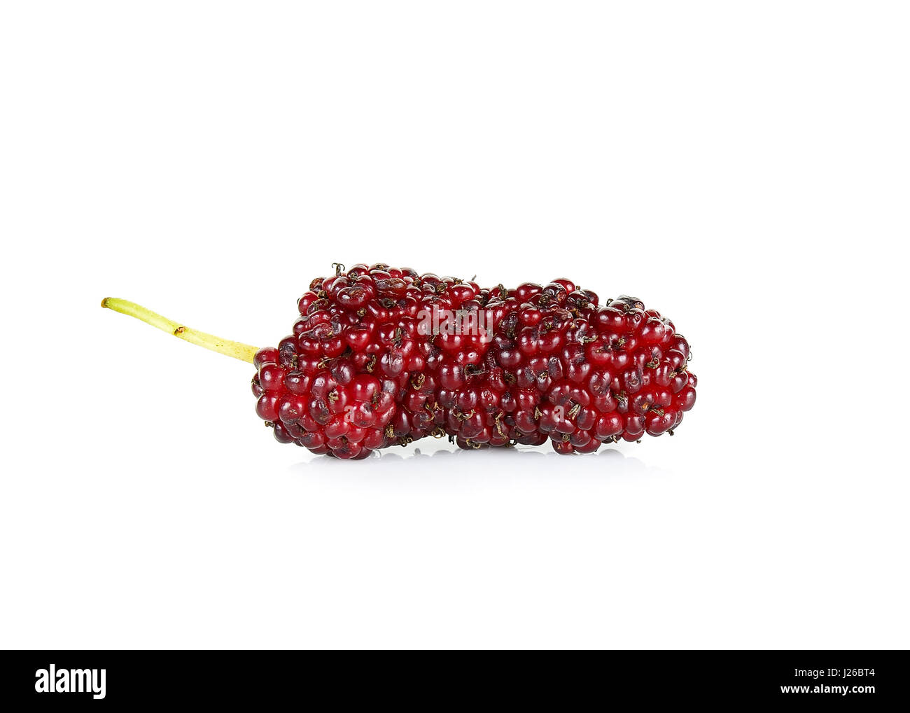 mulberry isolated on the white background Stock Photo - Alamy
