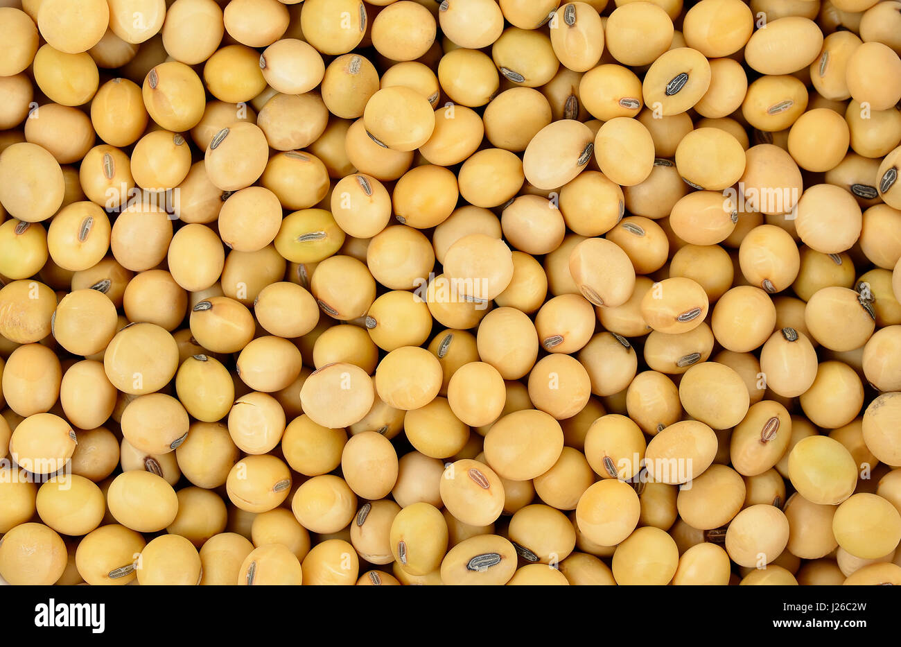 soy bean pattern as background texture Stock Photo - Alamy