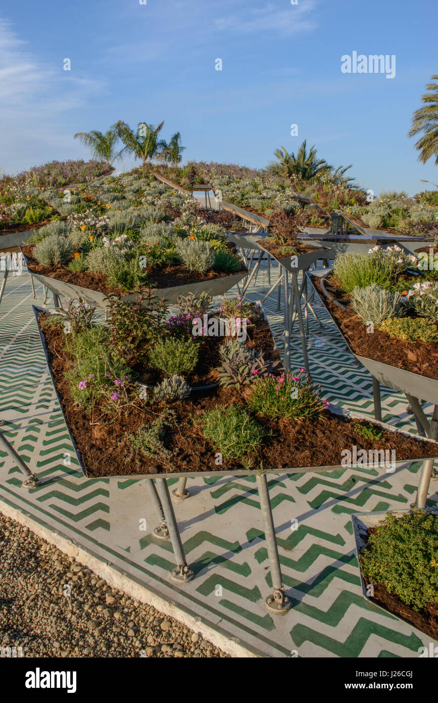 Anamorfosi by François Abélanet Anamorphosis is the distorted use of ...