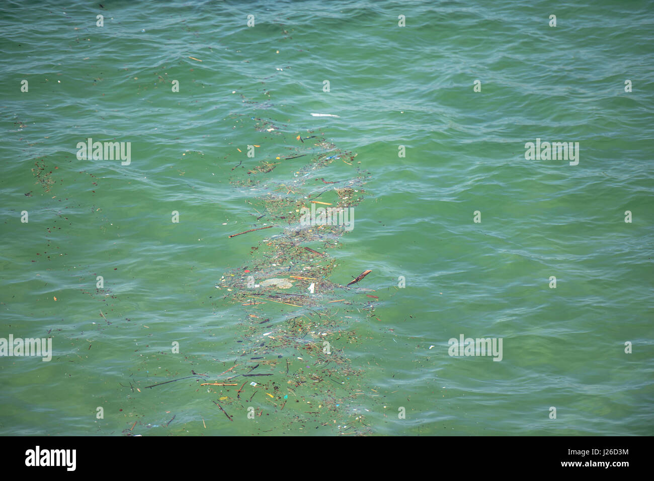 trash floating on a surface of water, plastic in a ocean Stock Photo ...