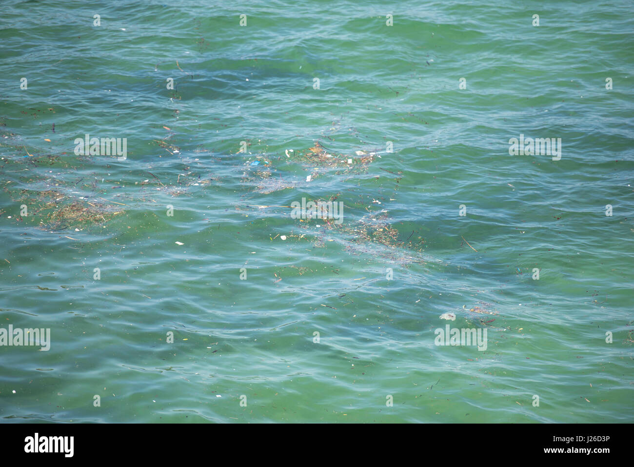 trash floating on a surface of water, plastic in a ocean Stock Photo ...