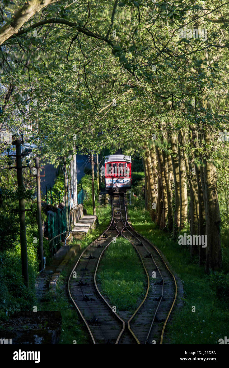Funiculars using short urban lines to multi-section mountain railways ...