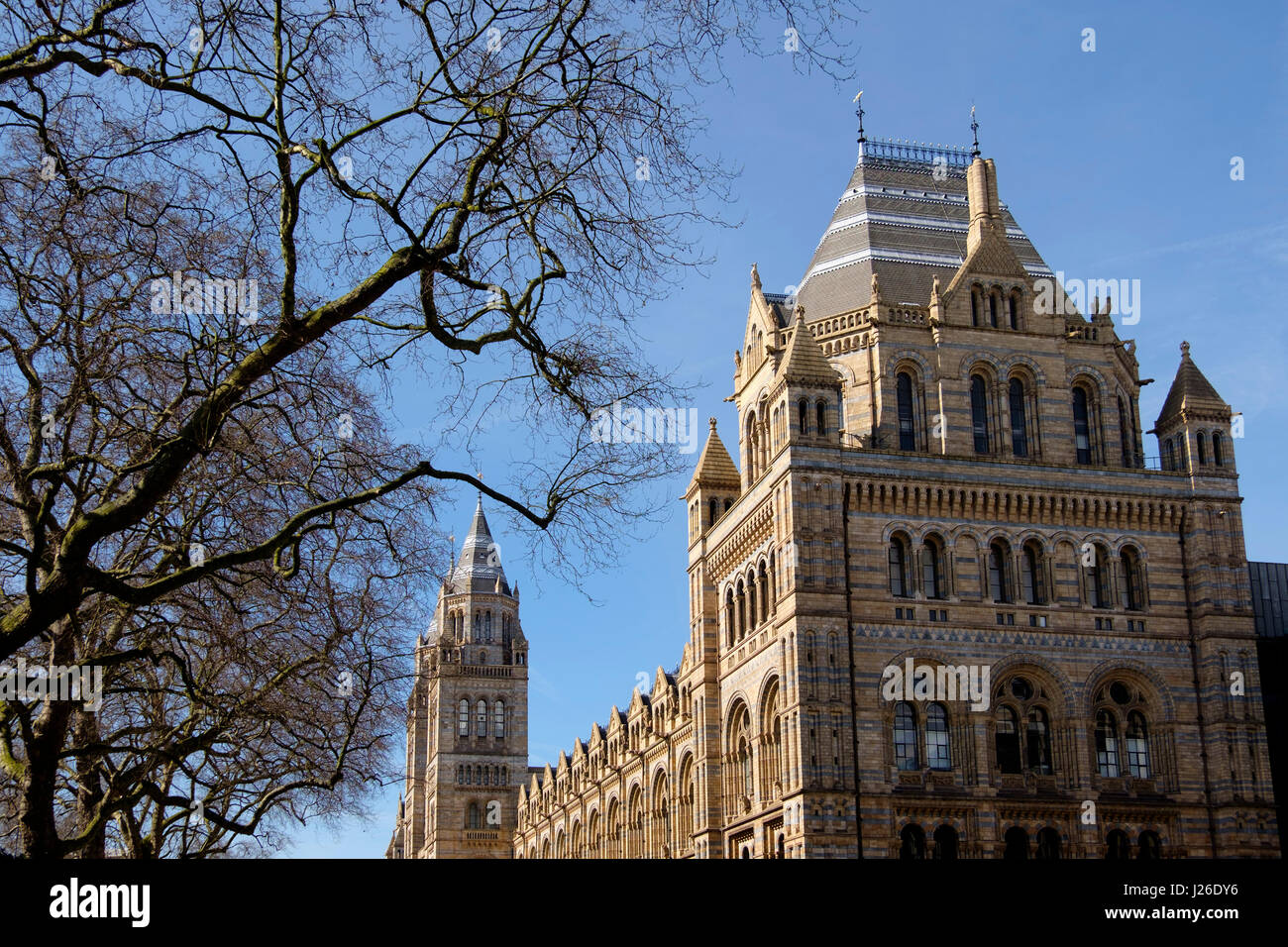 Natural History Museum in London, England, UK, Europe Stock Photo - Alamy