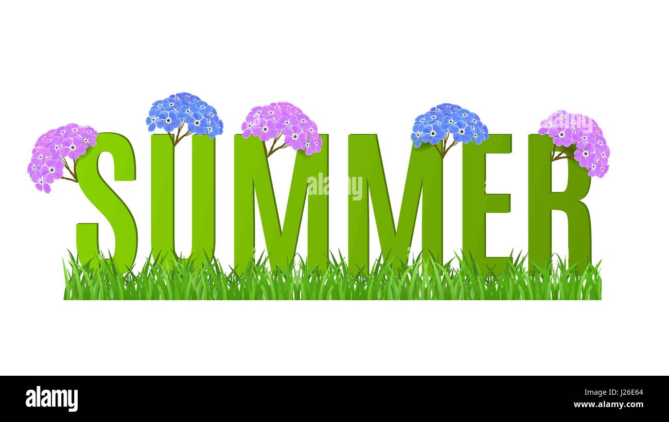 Summer Typographic Banner with flowers for design Stock Vector Image ...