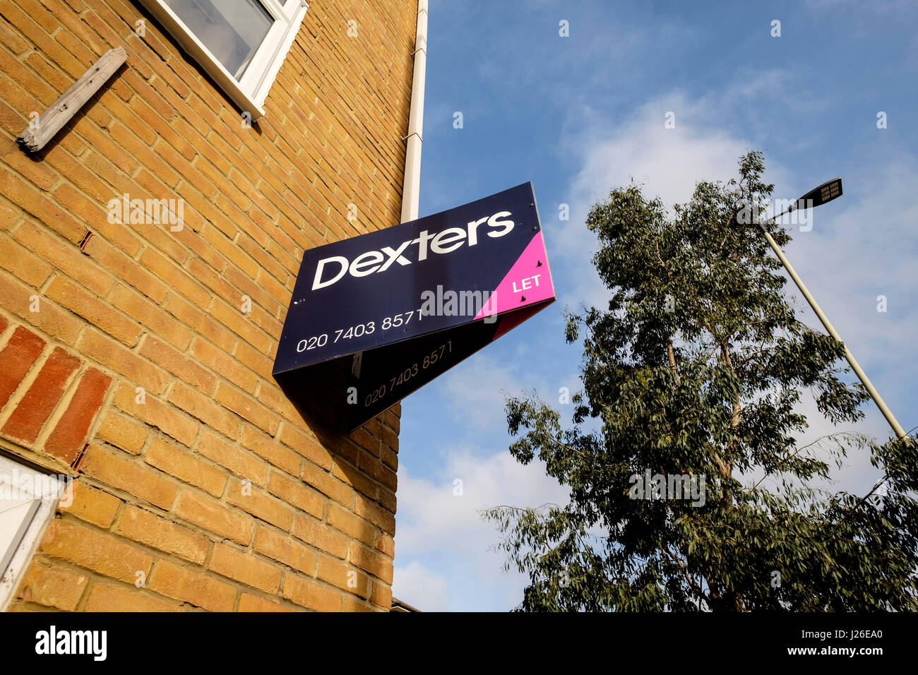 House to let board hi-res stock photography and images - Alamy