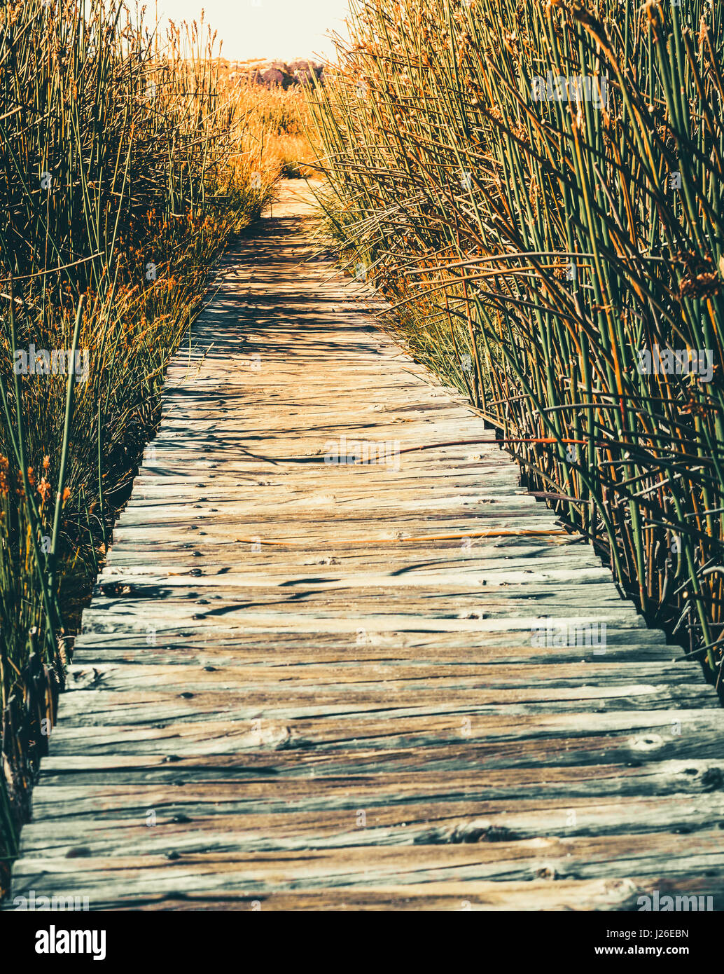 Grass footpath hi-res stock photography and images - Alamy