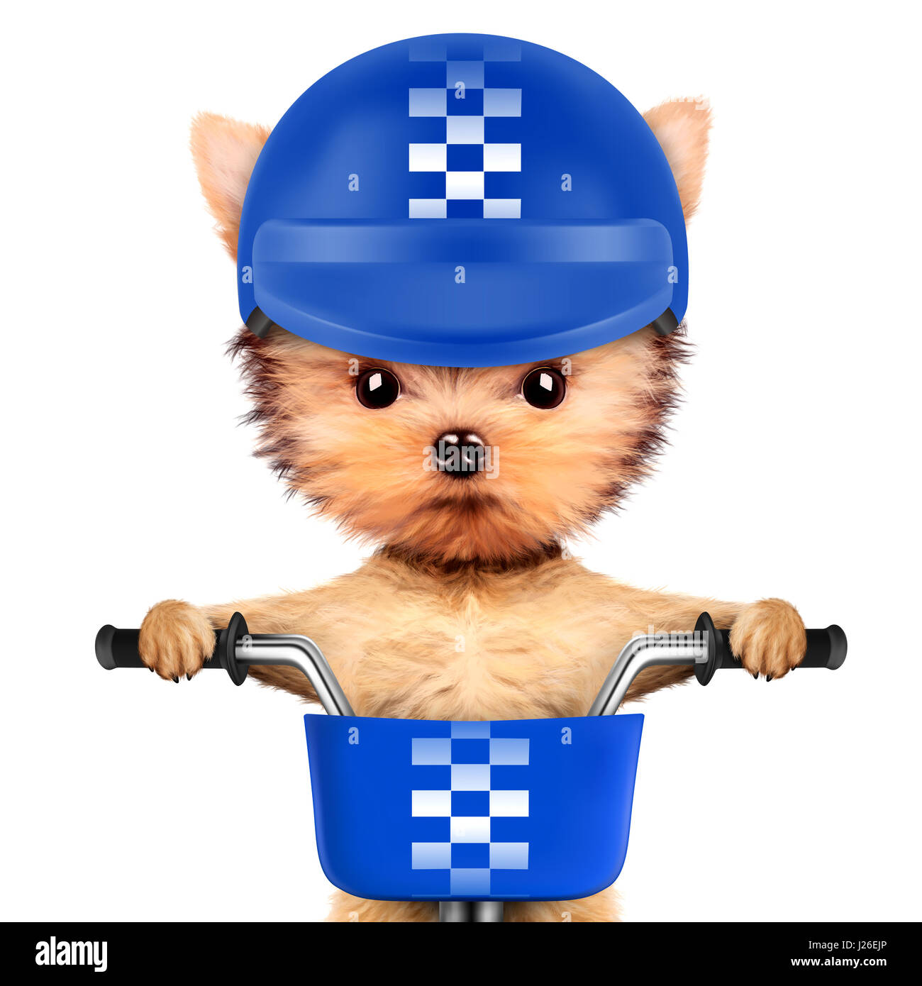Funny racer dog with bike and helmet Stock Photo - Alamy