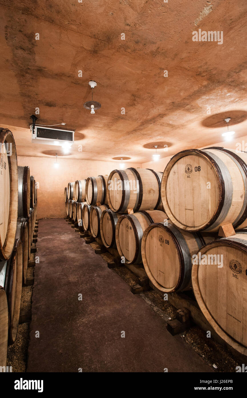 Cellar storeroom hi-res stock photography and images - Alamy