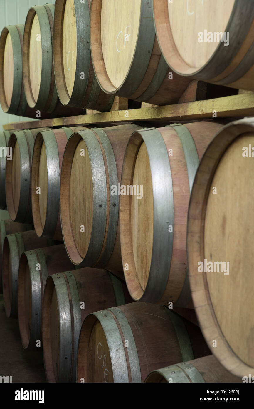Oak wood aging barrels in a winery storeroom Stock Photo - Alamy
