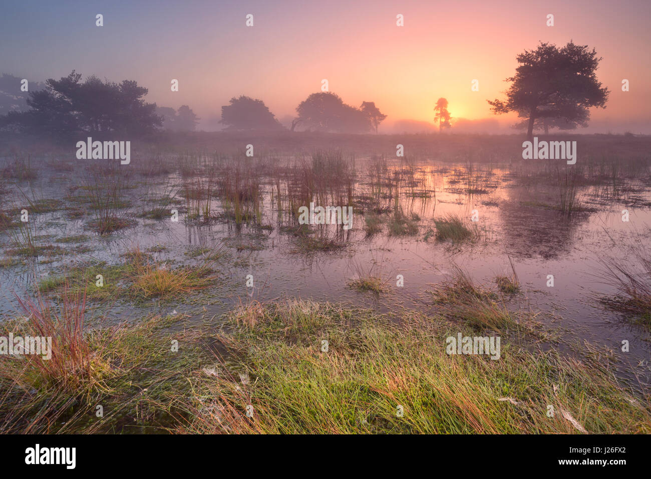 Leersumse veld hi-res stock photography and images - Alamy