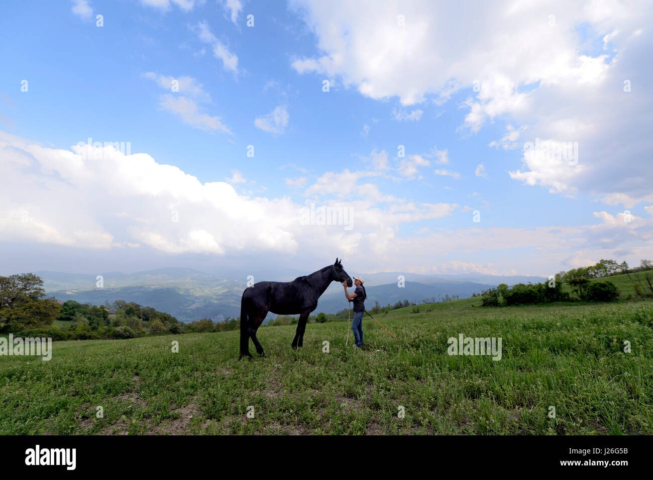Woman train horse in a meadow Stock Photo - Alamy