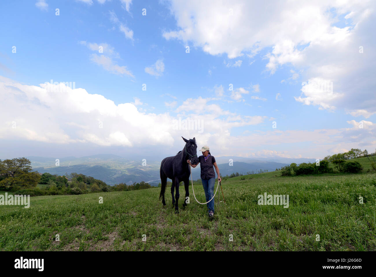 Woman train horse in a meadow Stock Photo - Alamy