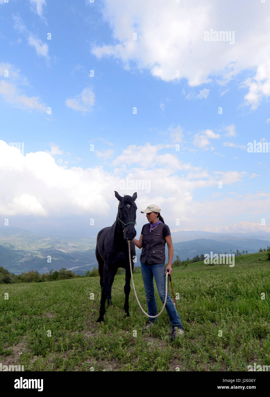 Woman train horse in a meadow Stock Photo - Alamy