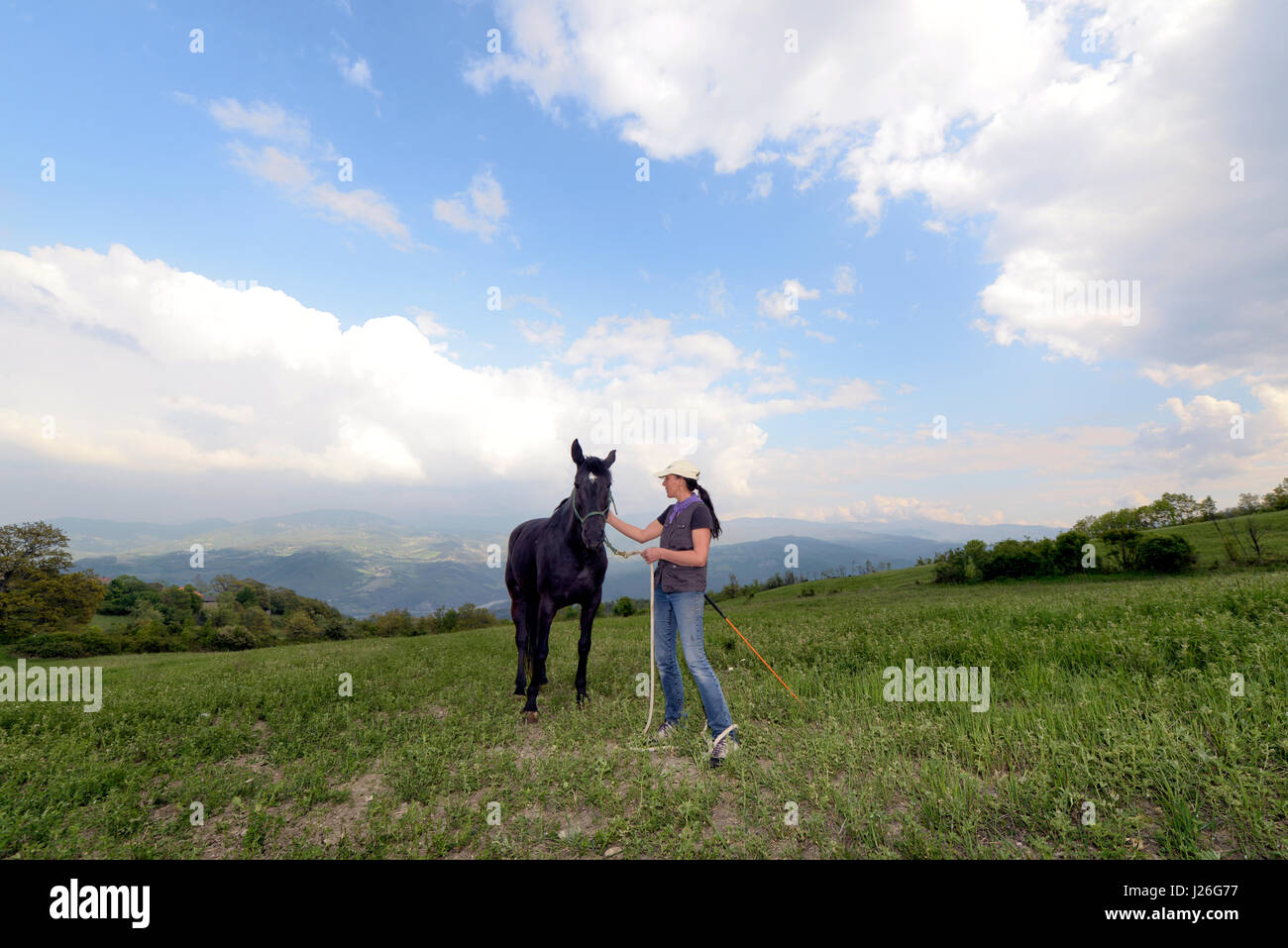 Woman train horse in a meadow Stock Photo - Alamy