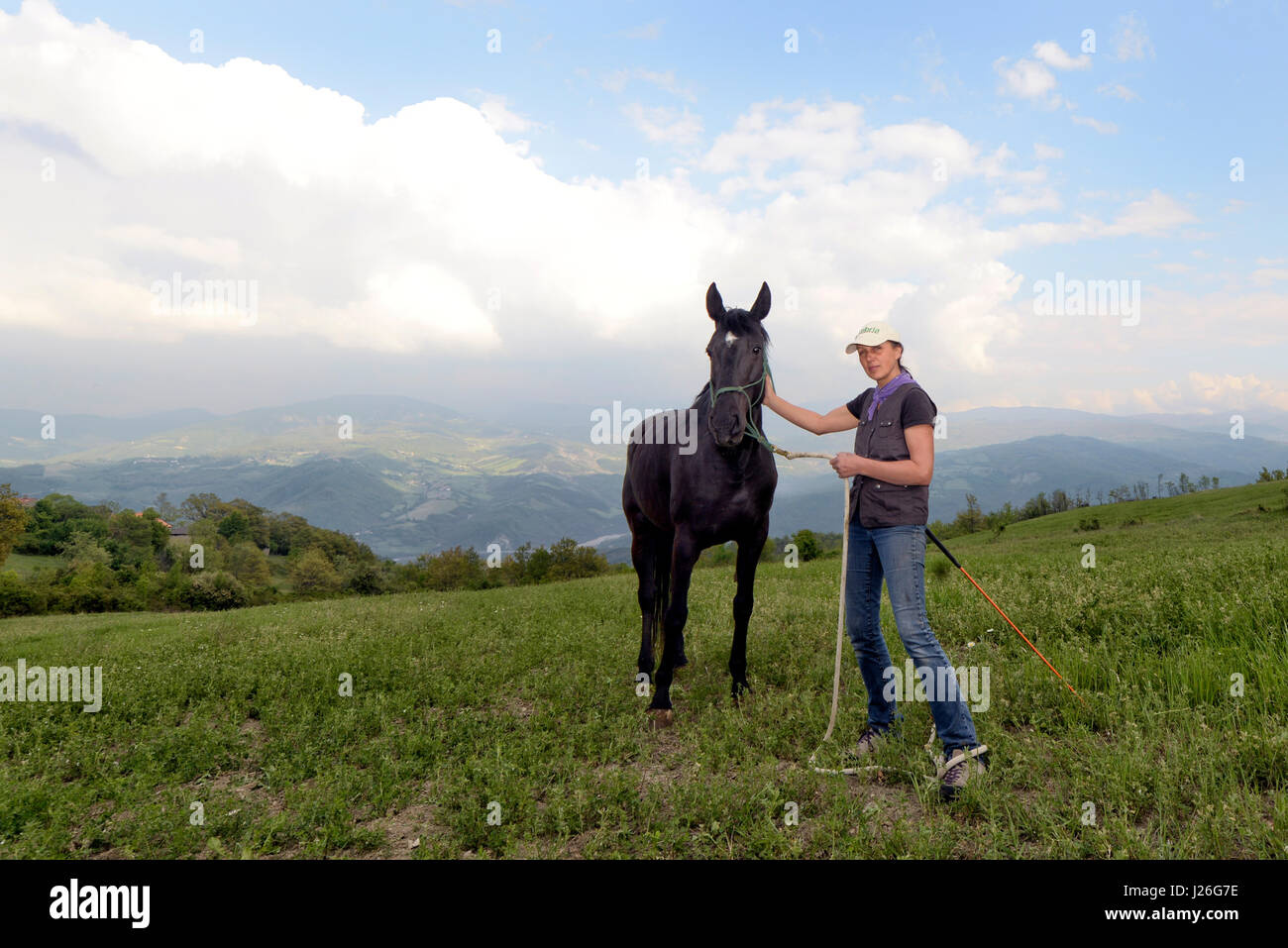 Domestic horse woman training hi-res stock photography and images - Alamy